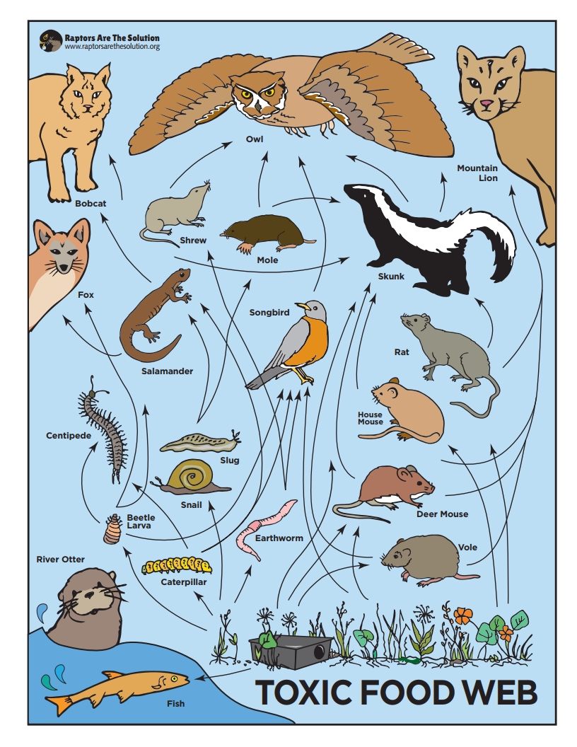 Outreach Materials | Raptors Are the Solution