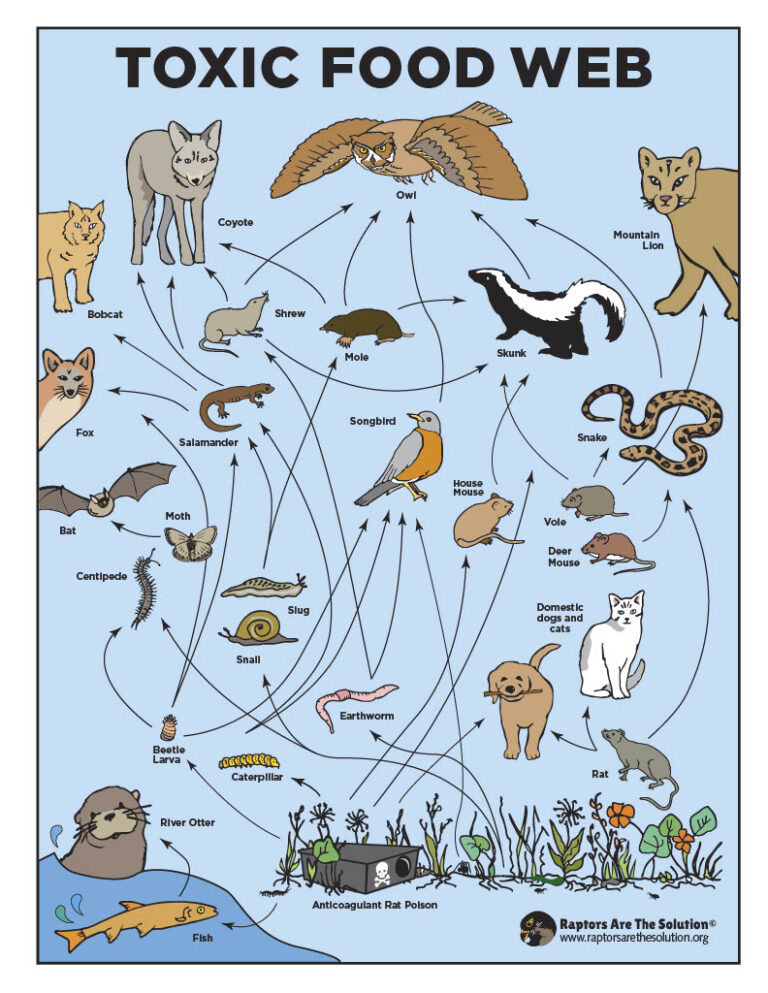 Free Outreach Materials - Raptors Are the Solution